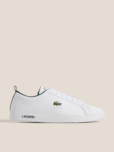 Кеды LACOSTE CARNA BASE 224 1 SMA 748SMA0112 БЕЛЫЙ - купить в Москве ...